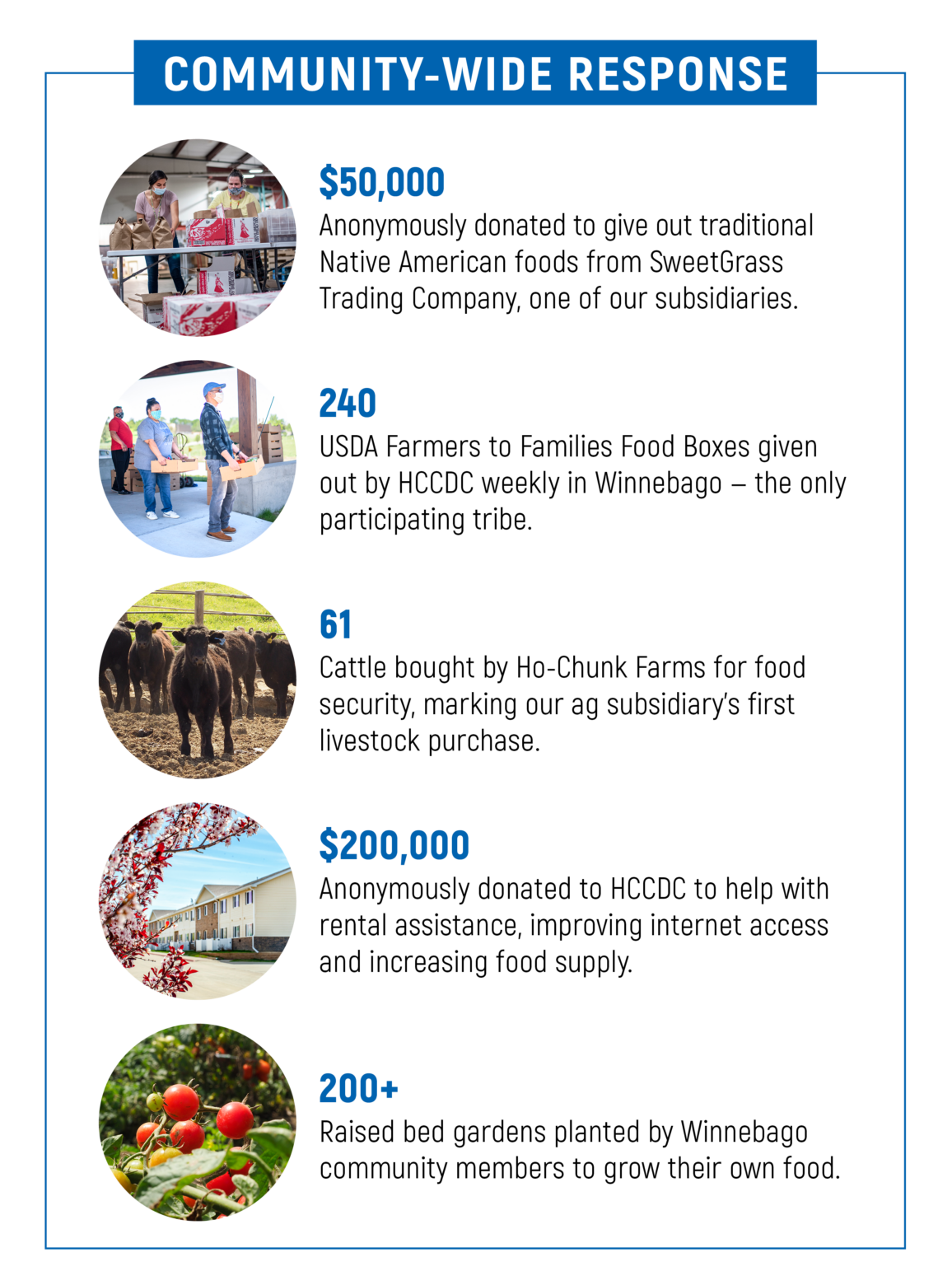 Community-Wide Response During Pandemic - All Native Group