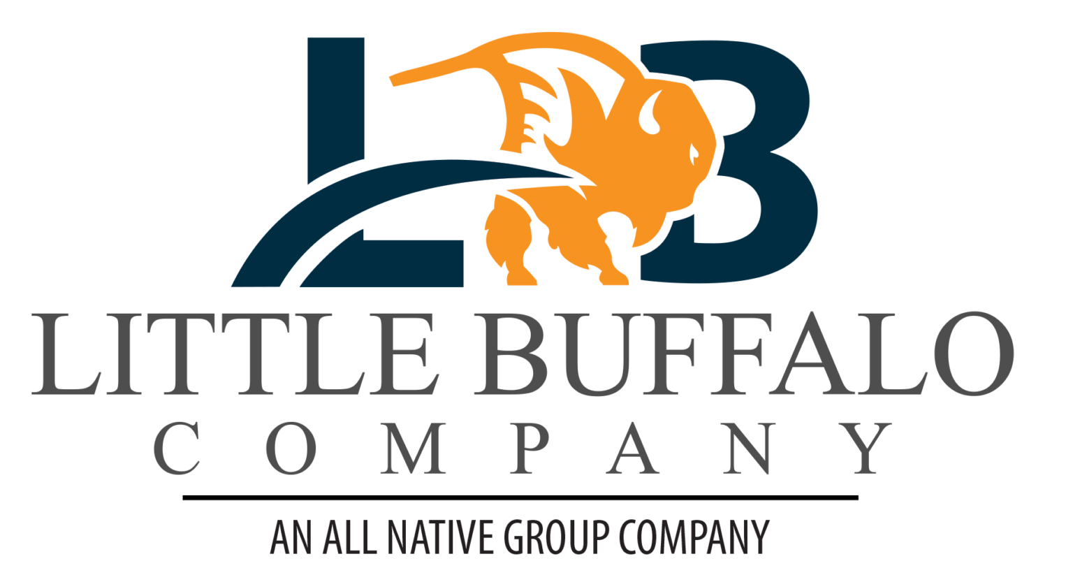 About Us - Native American Owned Government Contractor | All Native Group